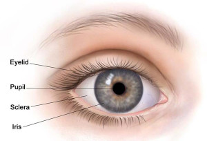 “An Aye for an Eye – The Eye, Part 3” – Outlander Anatomy