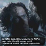 Fun Fact – levator palpebrae superioris (LPS) – Outlander Anatomy