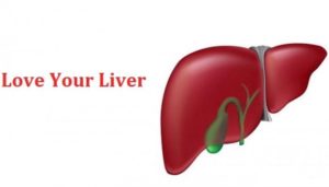 Anatomy Lesson #49, “Our Liver – The Life Giver!” – GI Tract 6 ...