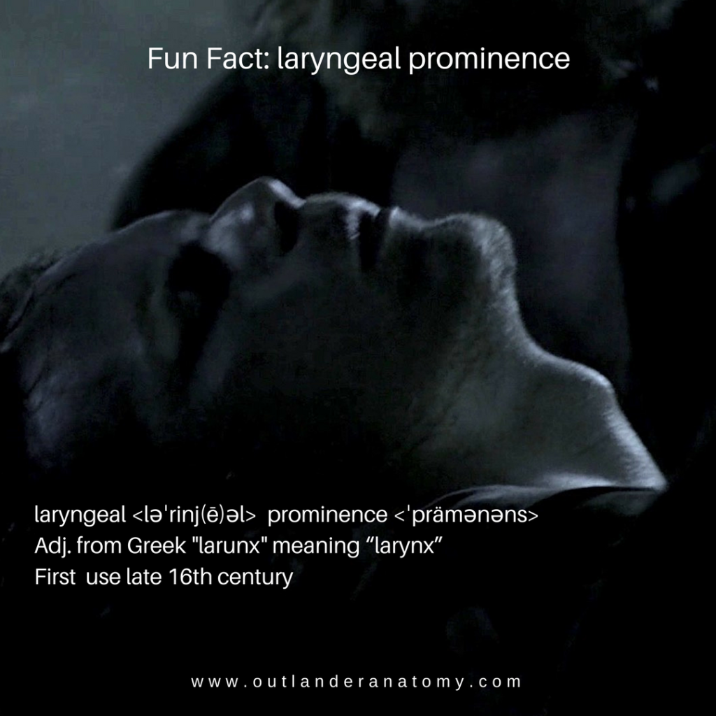 FF Laryngeal Prominence – Outlander Anatomy