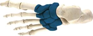 Anatomy Lesson #59: Complete Feet – Outlander Anatomy