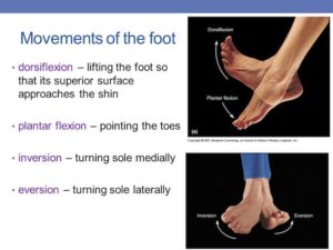 Anatomy Lesson #59: Complete Feet – Outlander Anatomy