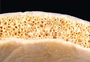 Anatomy Lesson #60 Let’s Mull the Skull! – Outlander Anatomy