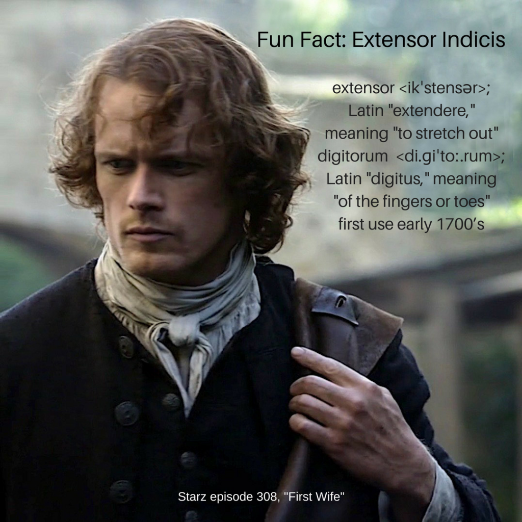 Fun Fact: Extensor Indicis – Outlander Anatomy