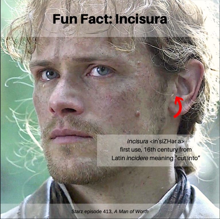 intertragic notch – Outlander Anatomy