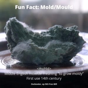 Fun Fact: Mold or Mould? – Outlander Anatomy