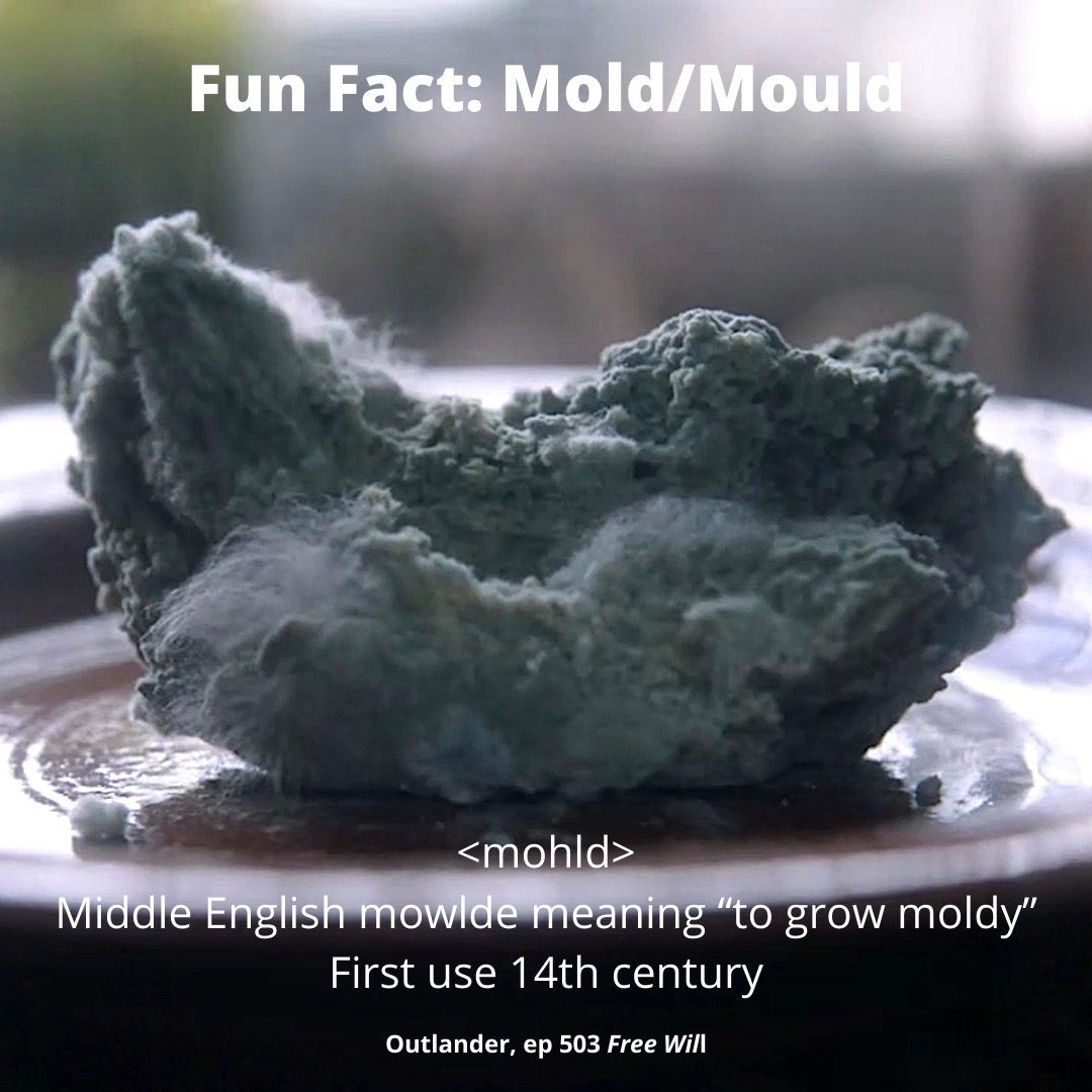 Fun Fact: Mold or Mould? – Outlander Anatomy